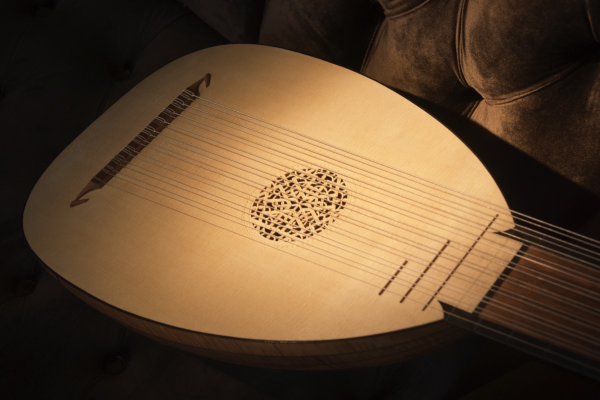 Flexibler Lautenunterricht in Kanton Schaffhausen. Laute lernen im ...