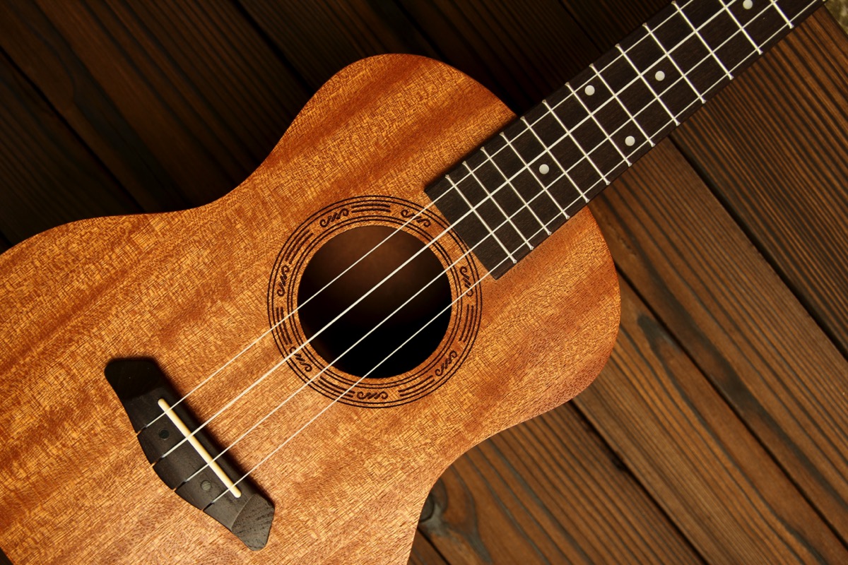 Flexibler Ukulelenunterricht in Cham. Ukulele lernen im Privatunterricht
