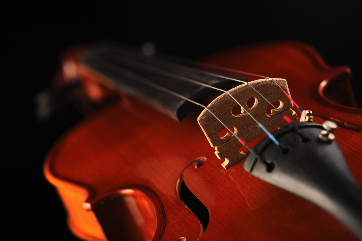 Flexible Violin lessons in Männedorf. Learn Violin with private classes